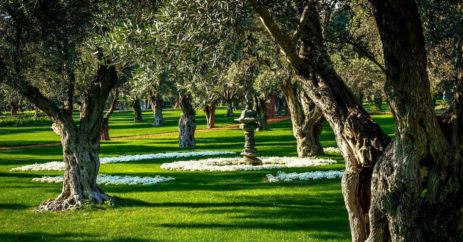 Der Bahá'í-Glaube und das Christentum - Winkelbach Family